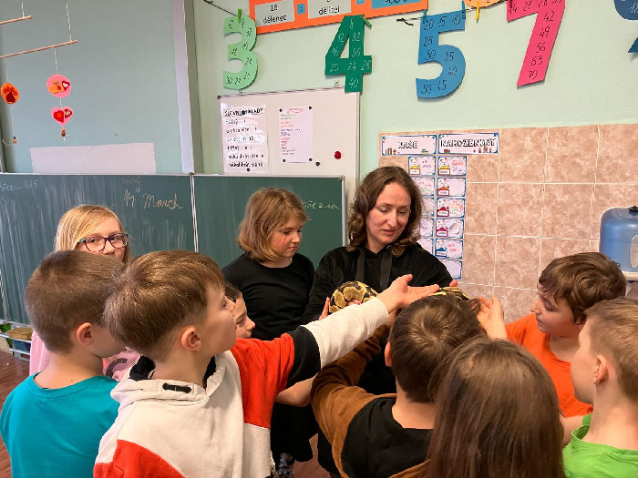 Snake in English class :: rapo-school.org